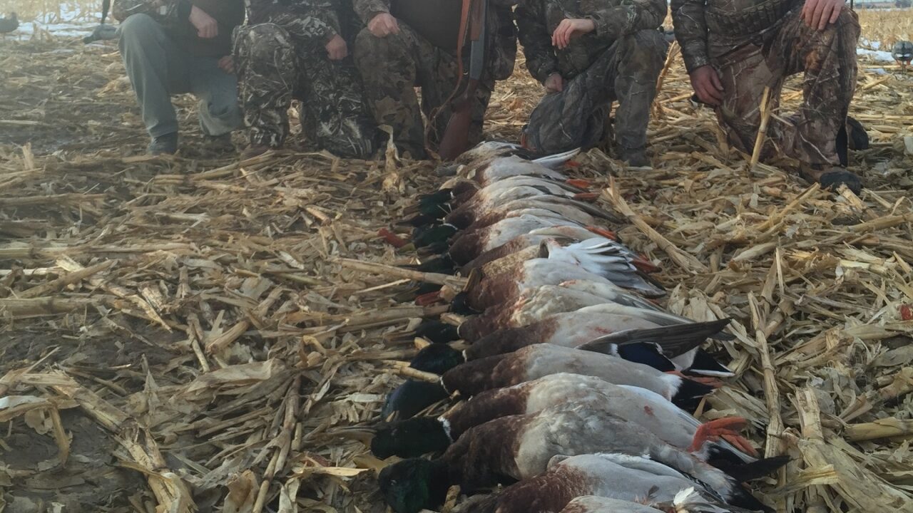 Colorado Waterfowl Hunting Club